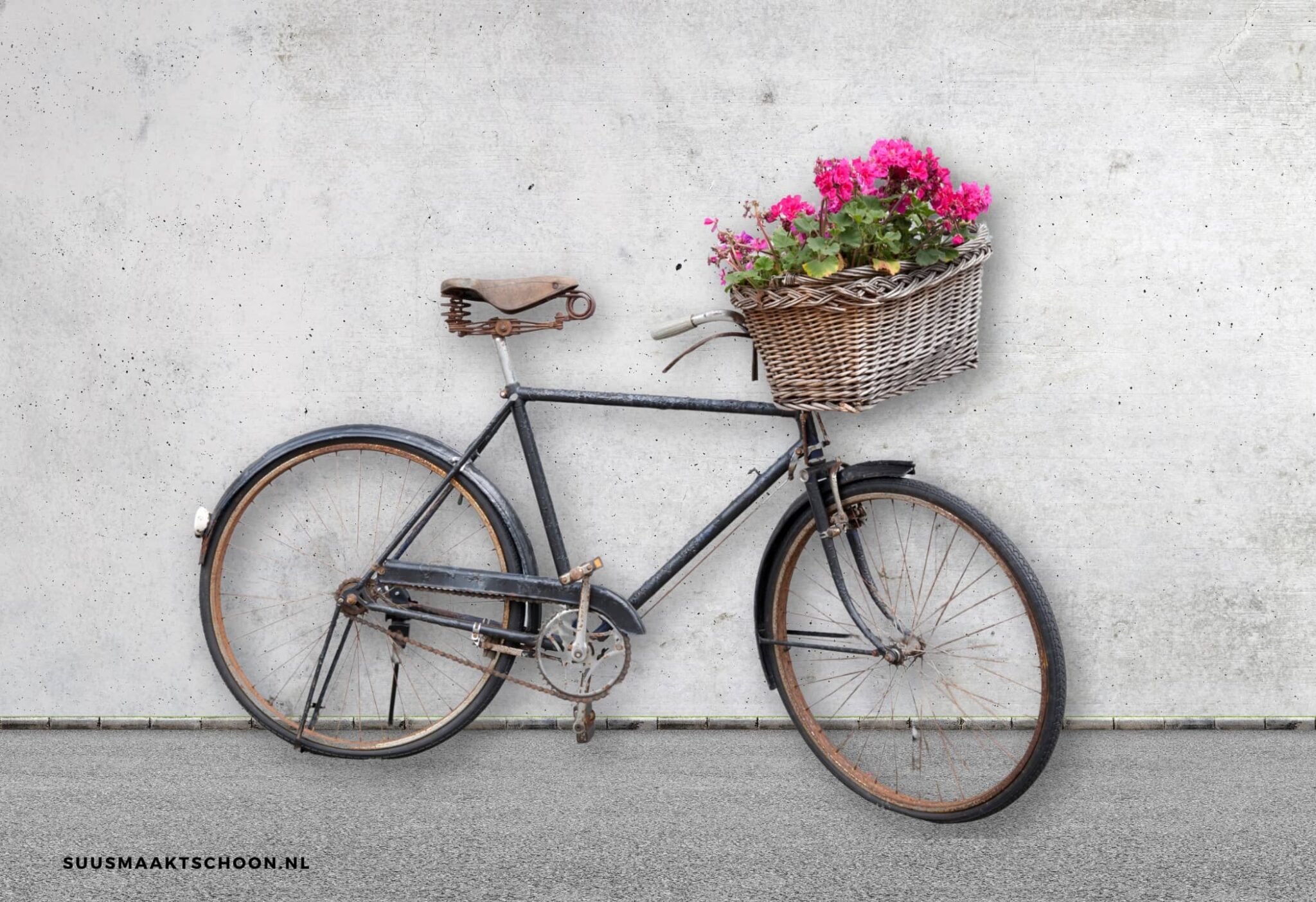 Poepende katten in de tuin? 9 tips om dit tegen te gaan