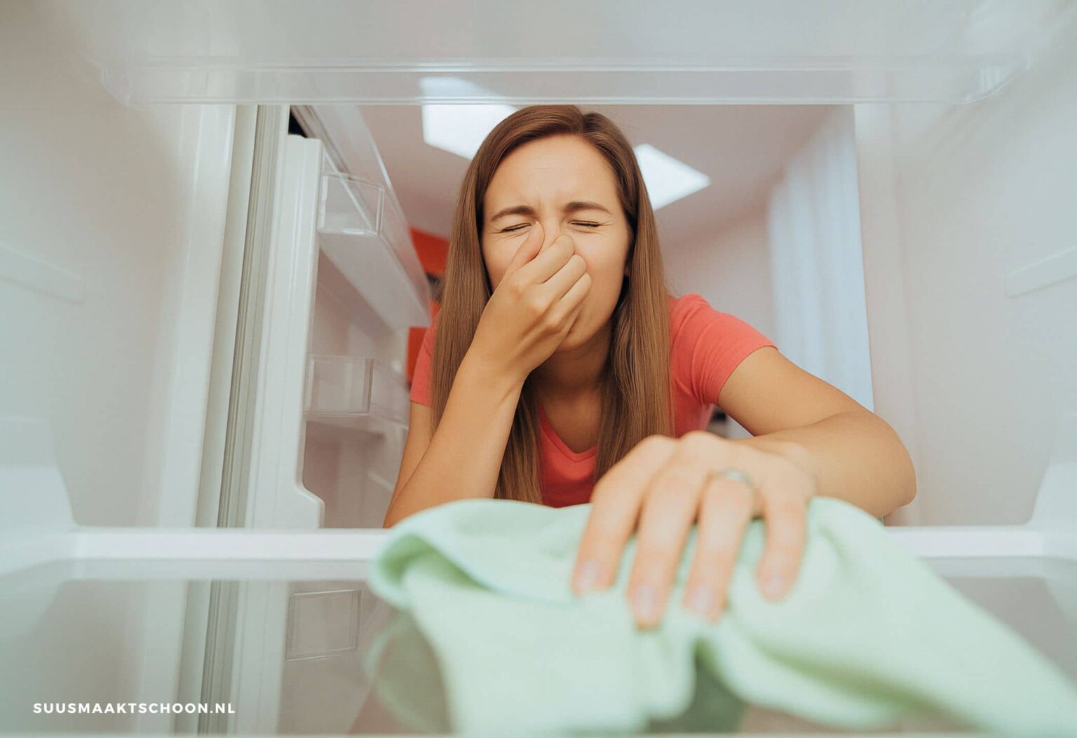 Poepende katten in de tuin? 9 tips om dit tegen te gaan