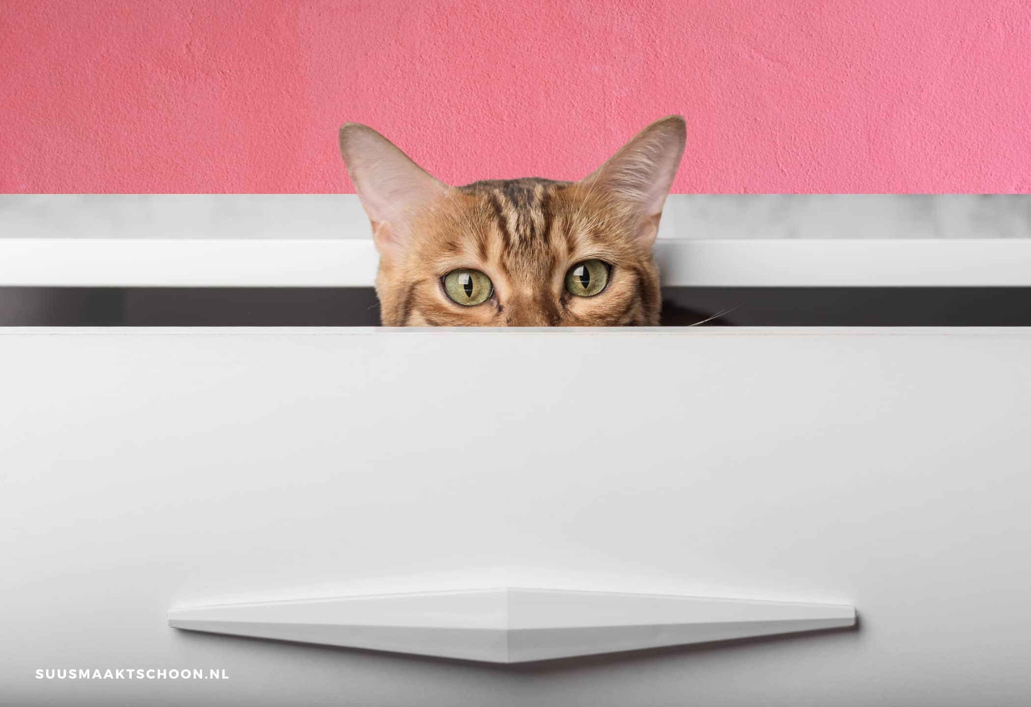 8 rommelige hoekjes in huis die je altijd vergeet op te ruimen